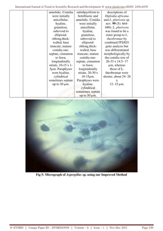 An Improved Slide Culture Technique for the Microscopic Identification ...