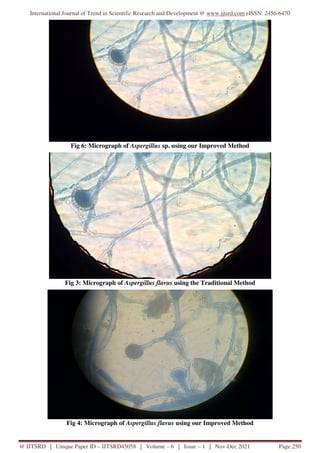 An Improved Slide Culture Technique for the Microscopic Identification ...