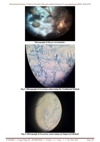 An Improved Slide Culture Technique for the Microscopic Identification ...