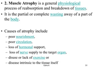 3 4 Autonomic Nervous System and Muscle Physiology (2).ppt