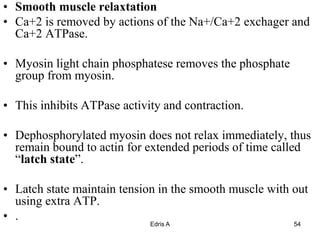 3 4 Autonomic Nervous System and Muscle Physiology (2).ppt