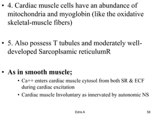 3 4 Autonomic Nervous System and Muscle Physiology (2).ppt