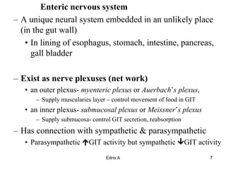 3 4 Autonomic Nervous System and Muscle Physiology (2).ppt