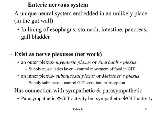 3 4 Autonomic Nervous System and Muscle Physiology (2).ppt