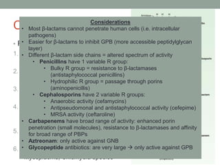 Antibiotic Mechanisms | PPT