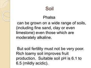 PHALSA | PPTX