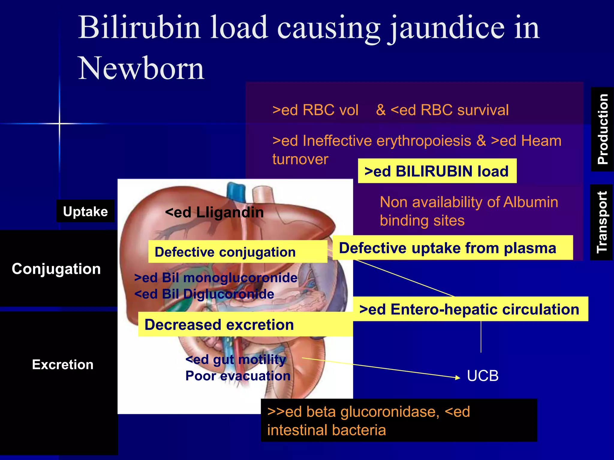 34eaNeonatal jaundice edited.ppt