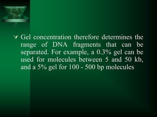gel electrophoresis # GENETICS AND PTANT BRIDING | PPT