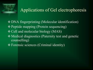 gel electrophoresis # GENETICS AND PTANT BRIDING | PPT
