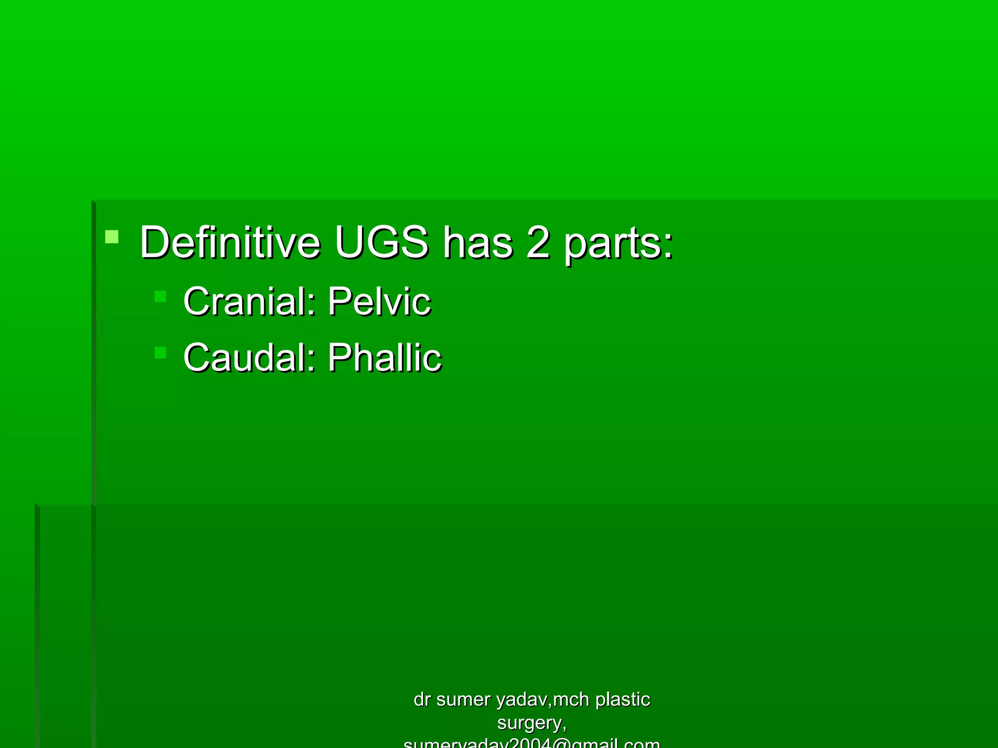 embryology and anatomy of hypospadias | PPT