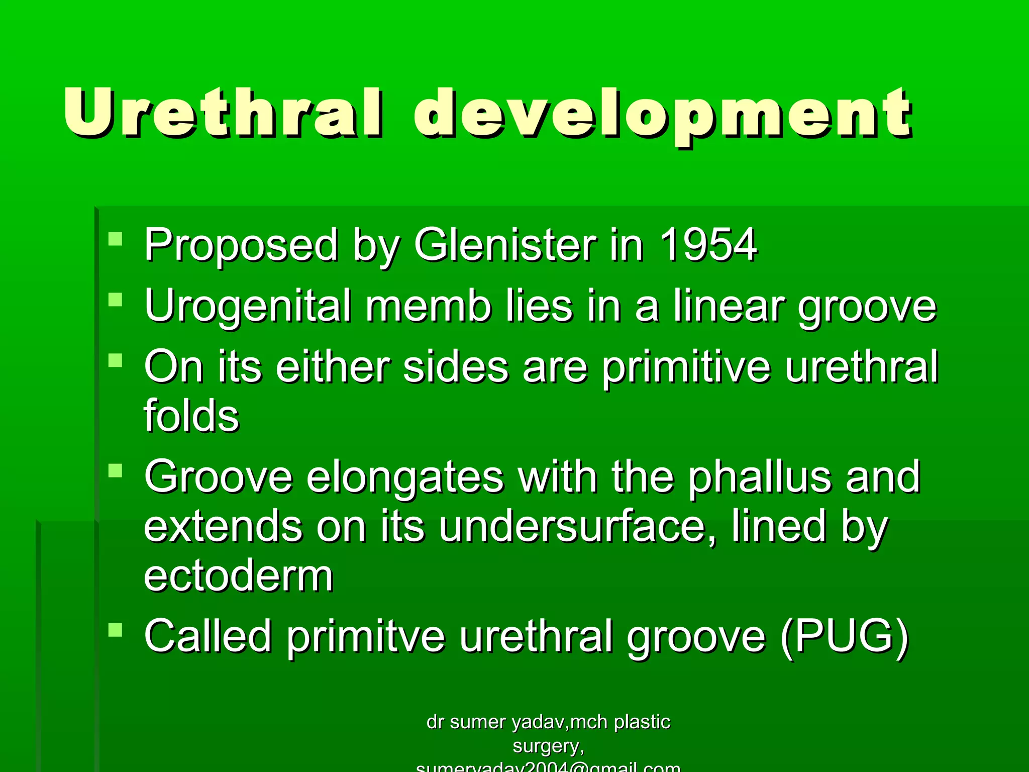 embryology and anatomy of hypospadias | PPT