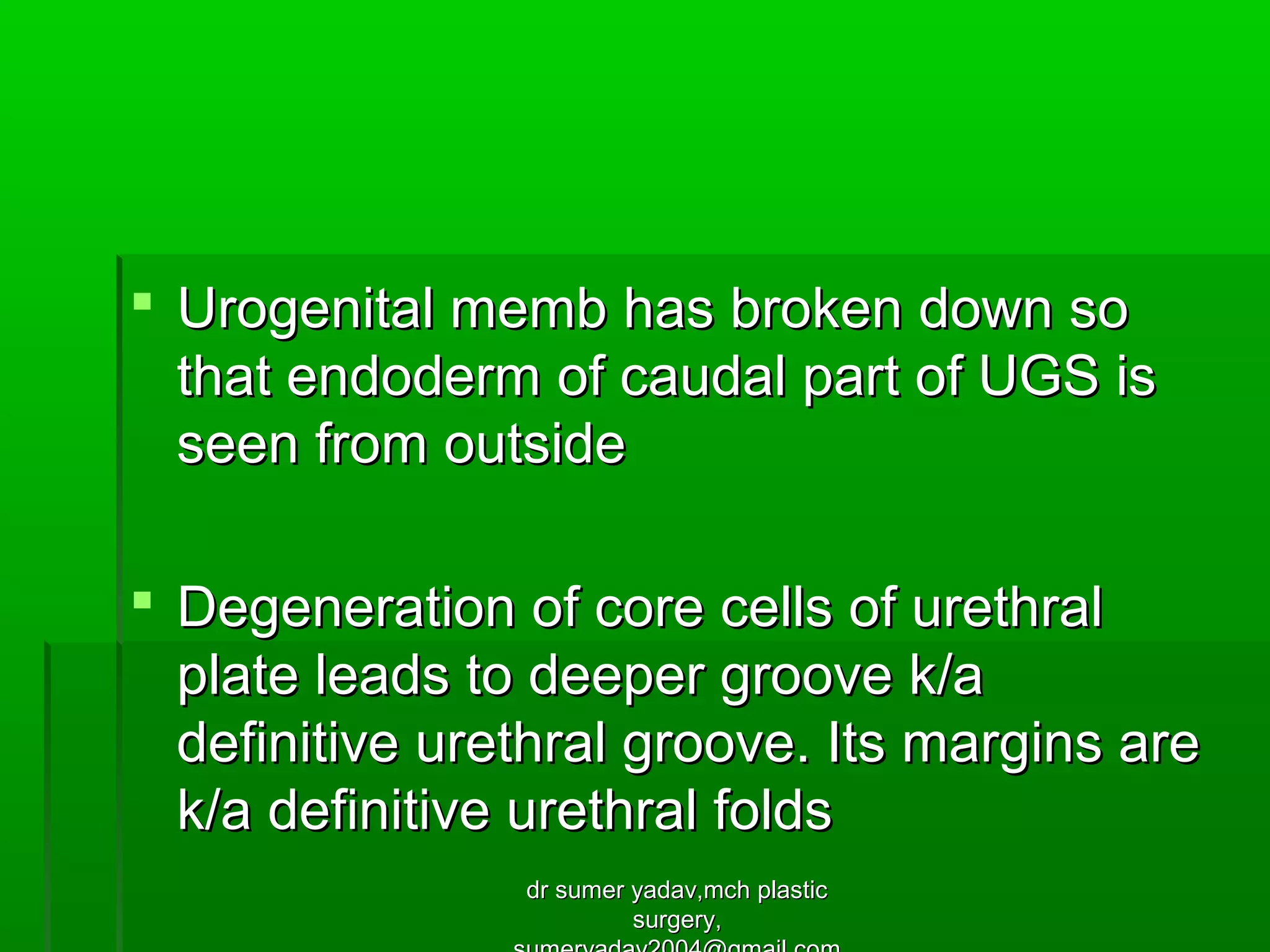 embryology and anatomy of hypospadias | PPT