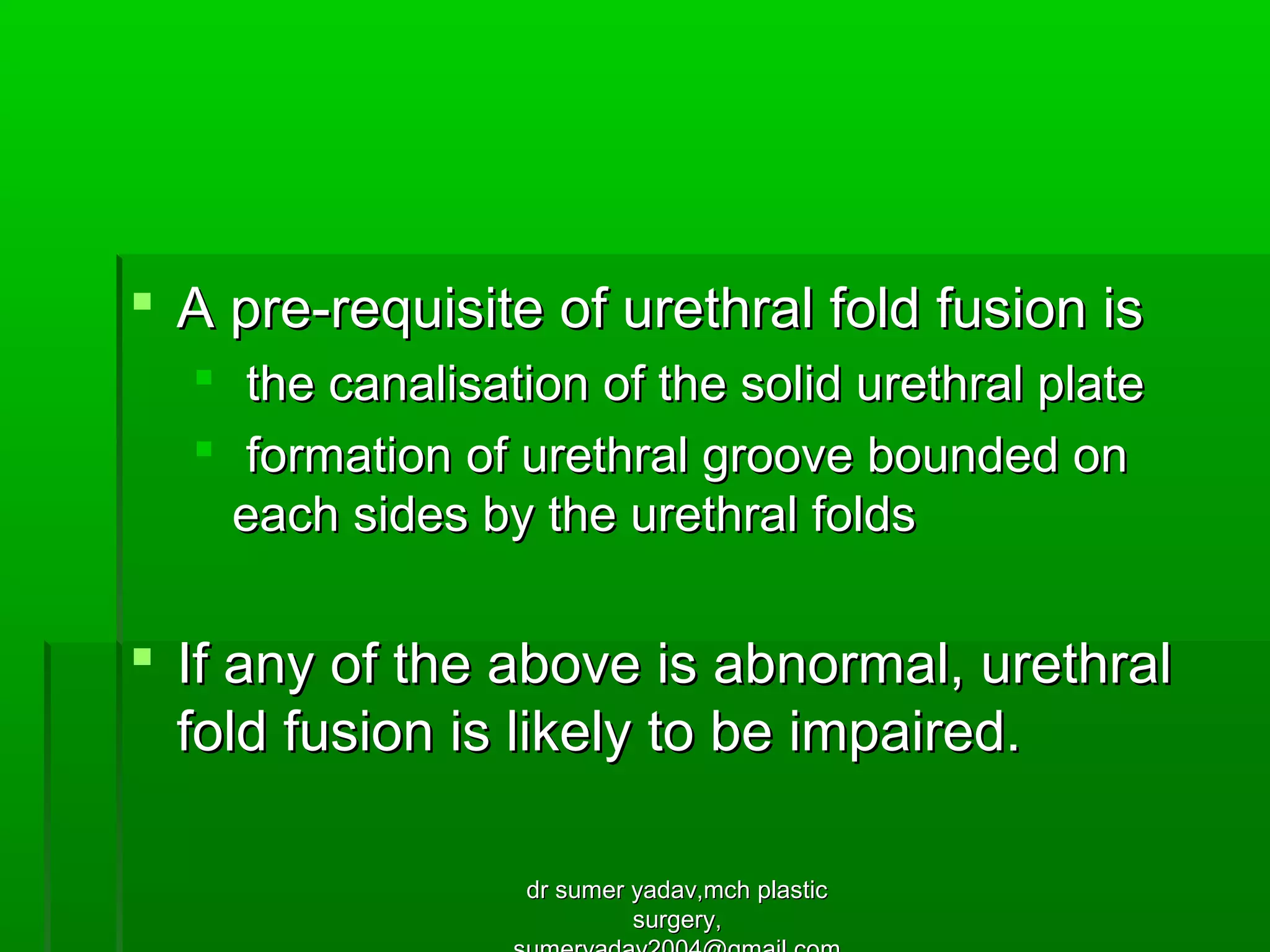 embryology and anatomy of hypospadias | PPT