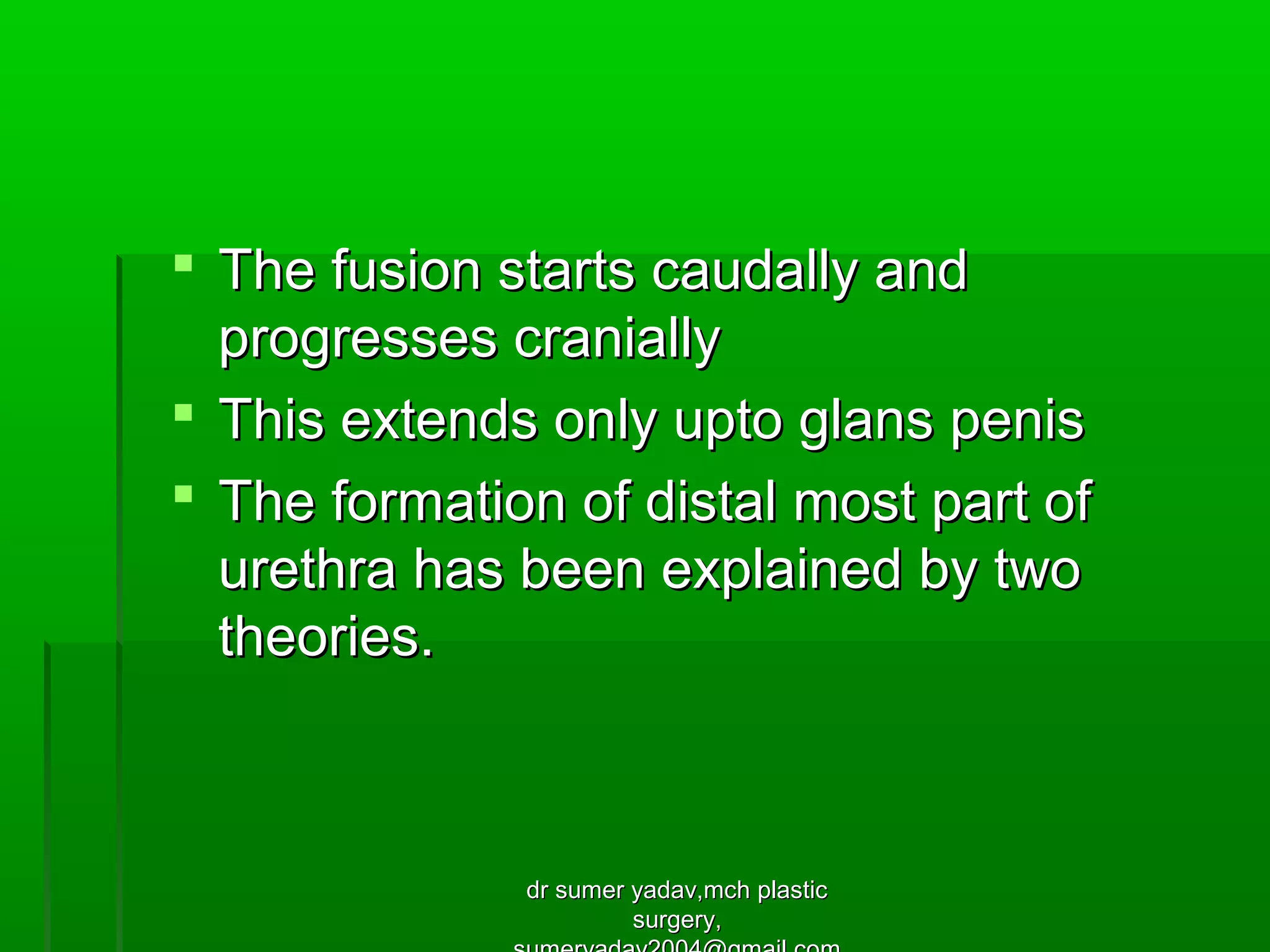 embryology and anatomy of hypospadias | PPT