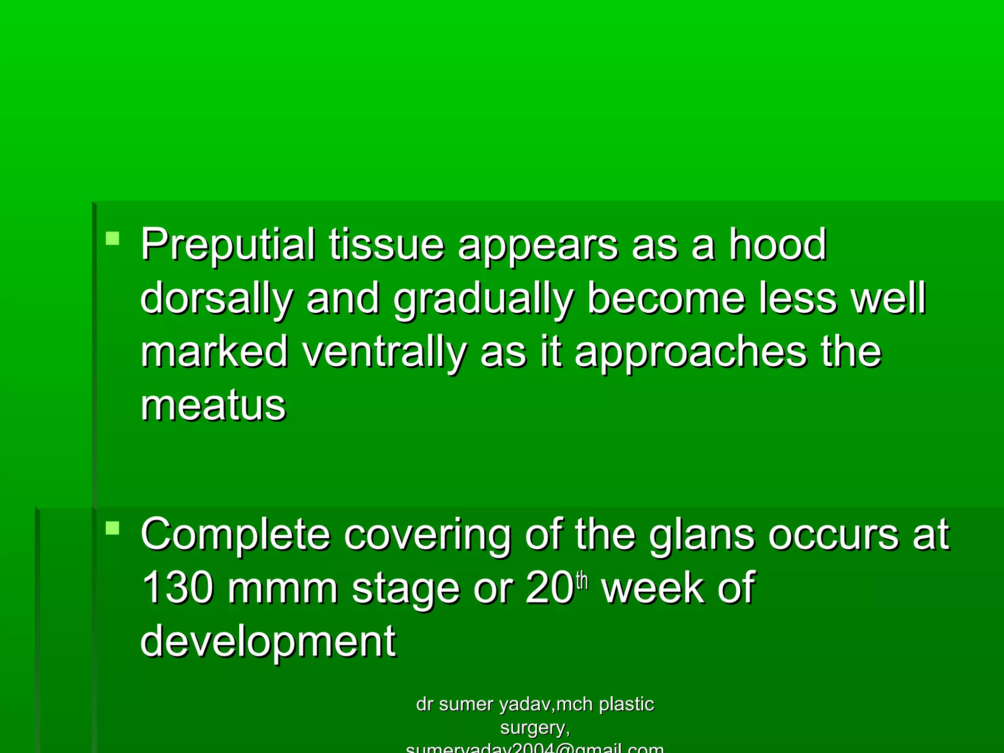 embryology and anatomy of hypospadias | PPT