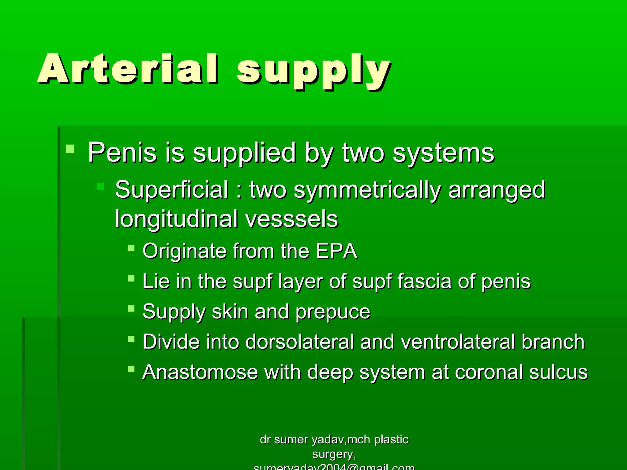 embryology and anatomy of hypospadias | PPT