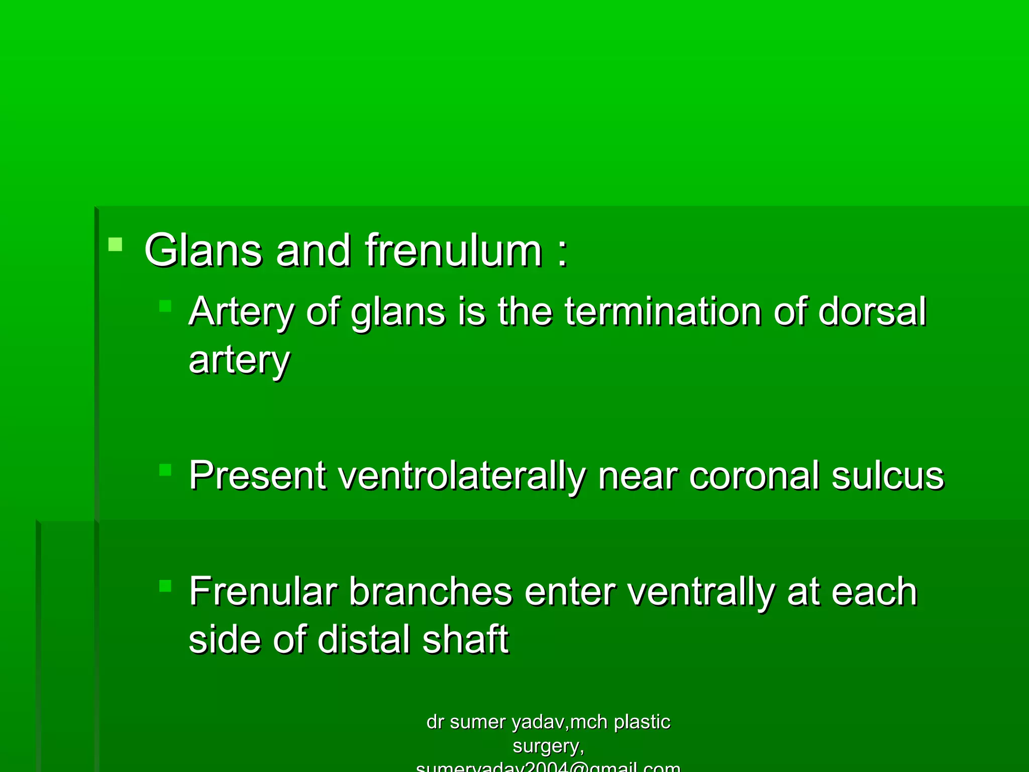 embryology and anatomy of hypospadias | PPT