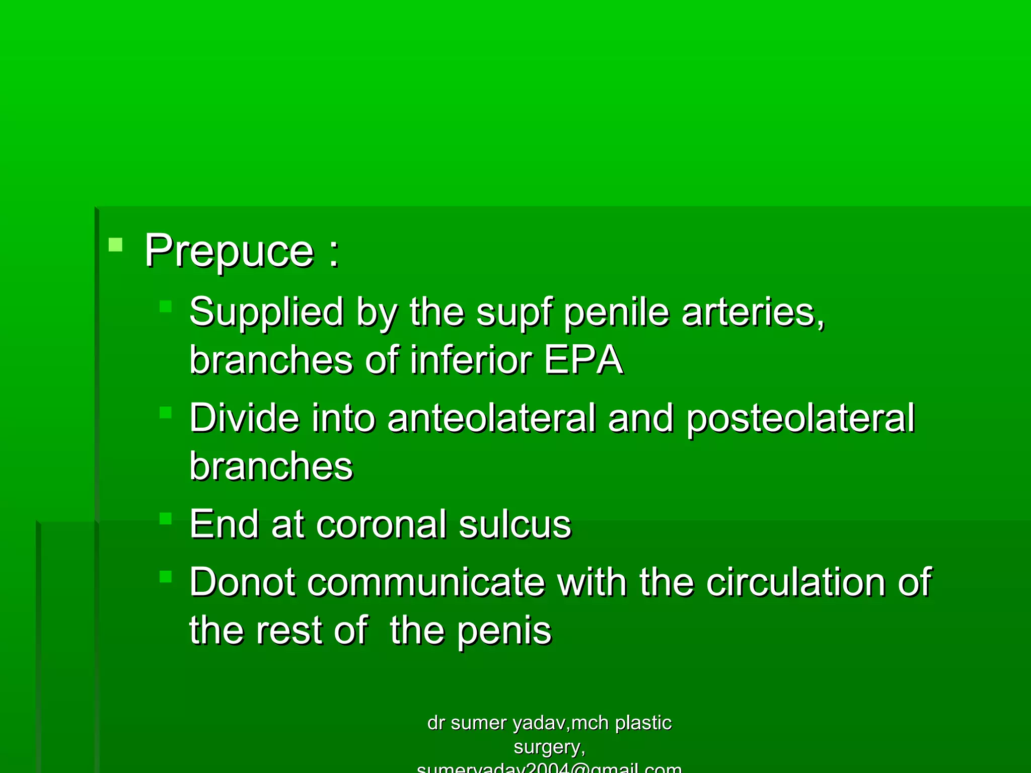 embryology and anatomy of hypospadias | PPT