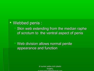 embryology and anatomy of hypospadias | PPT