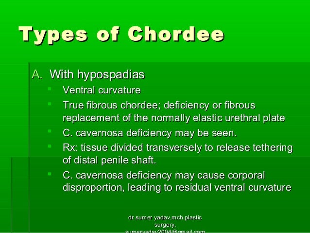 embryology and anatomy of hypospadias