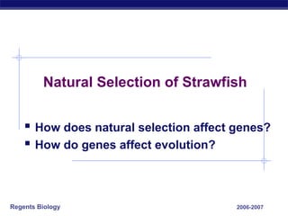 Regeants Evidence for Evolution | PPT