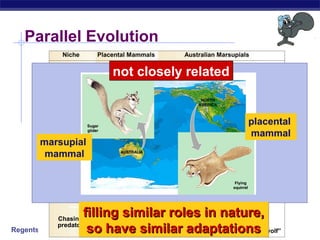 Regeants Evidence for Evolution | PPT