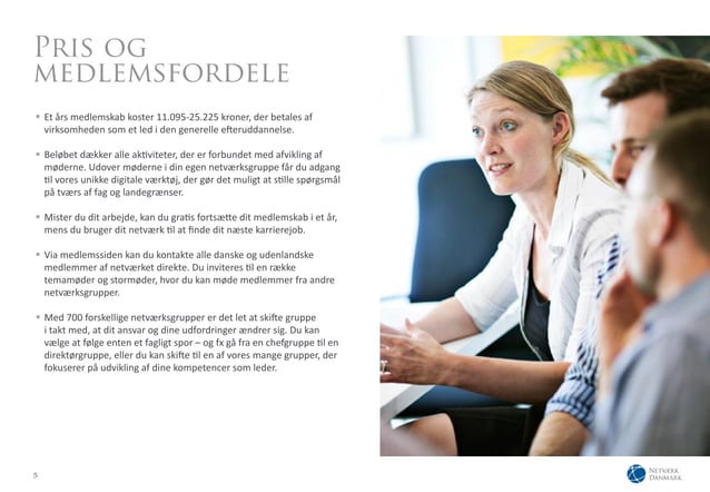 nd-konceptbeskrivelse | PPT