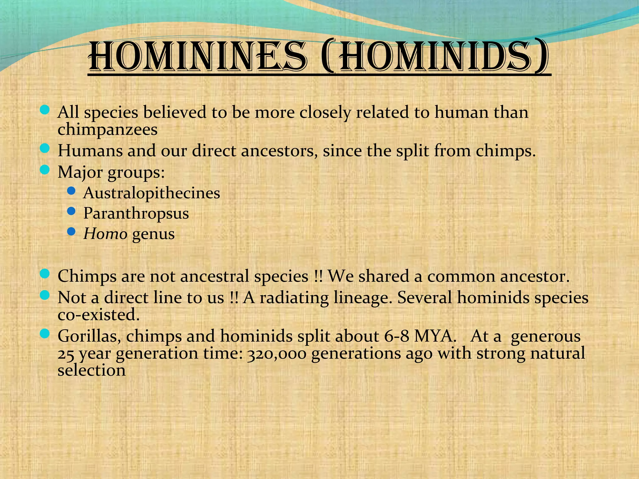 Human Evolution - The drastic change | PPT