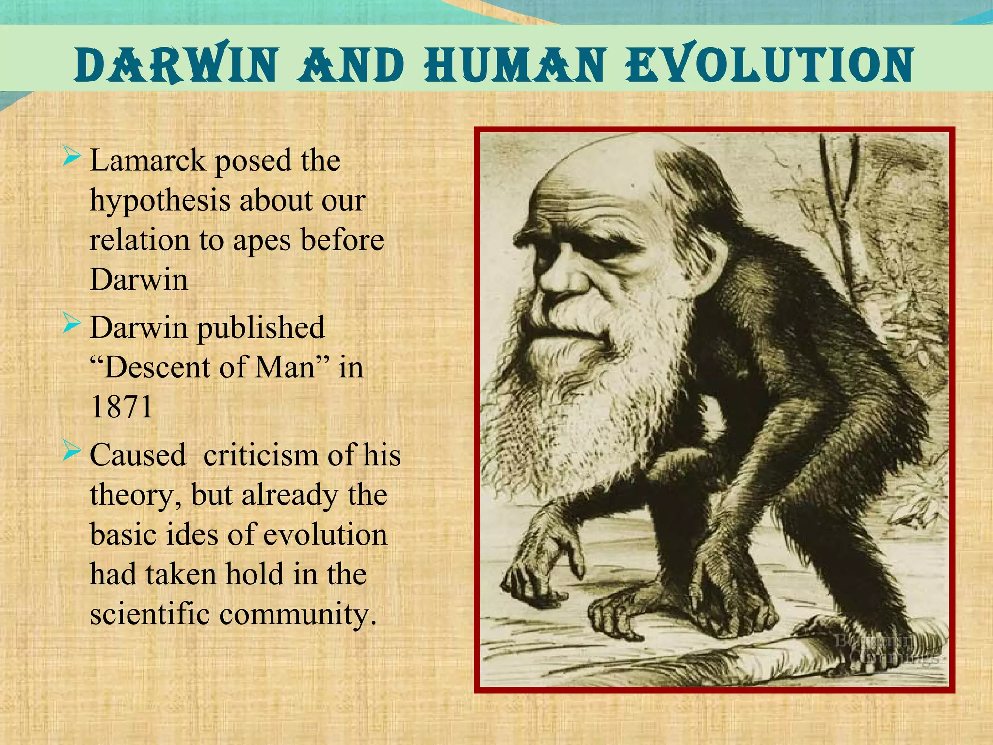 Human Evolution - The drastic change | PPT