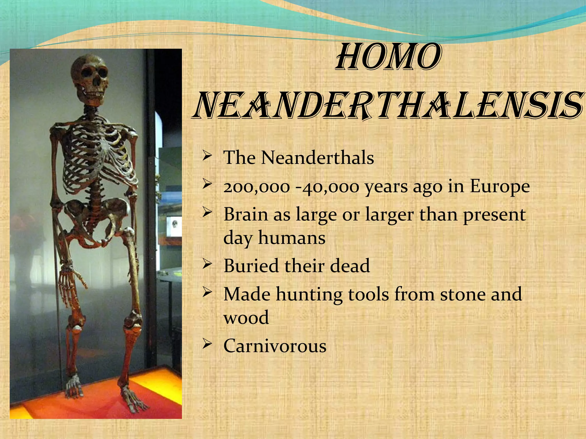 Human Evolution - The drastic change | PPT