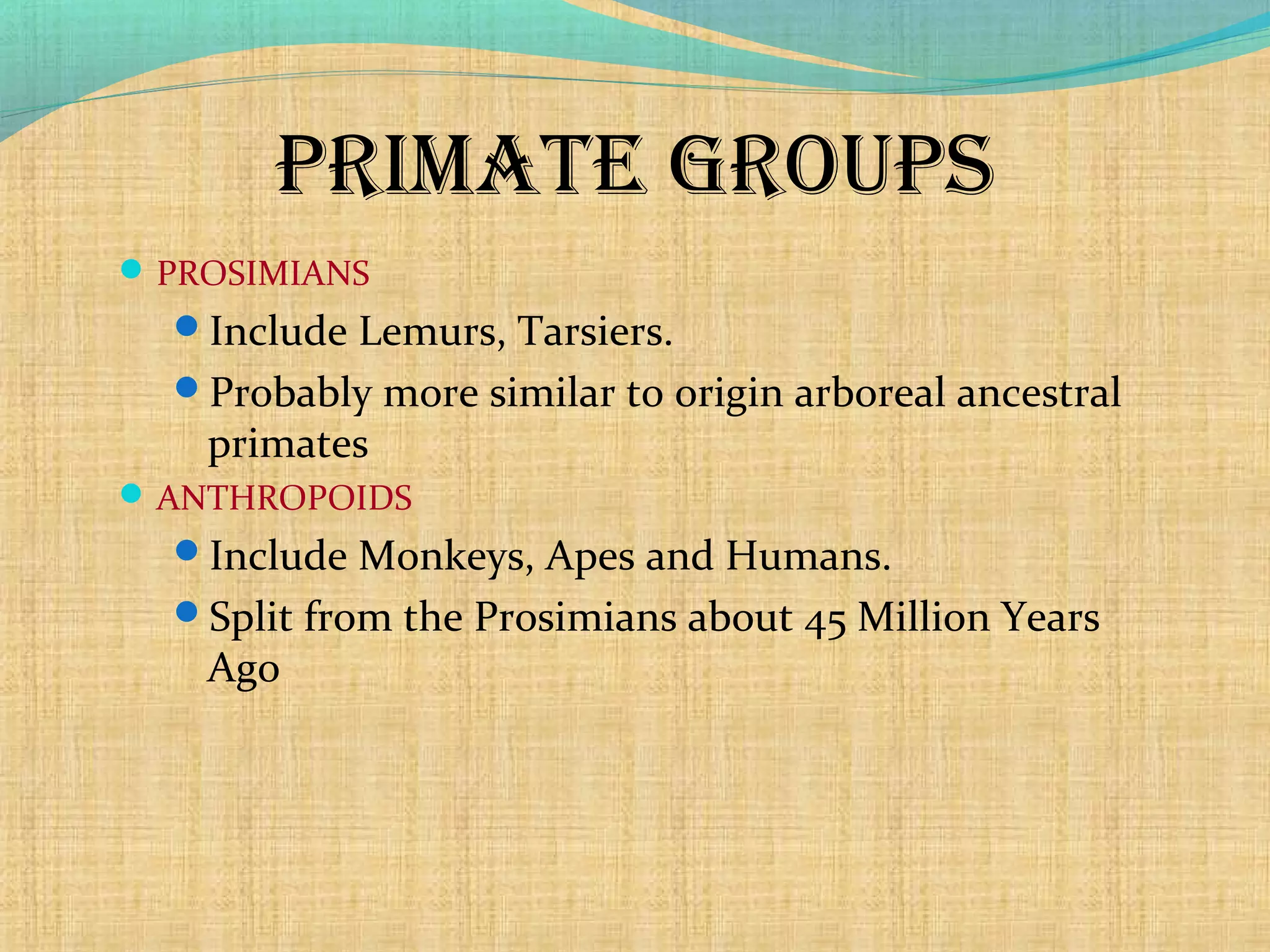 Human Evolution - The drastic change | PPT