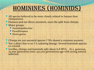 Human Evolution - The drastic change | PPT