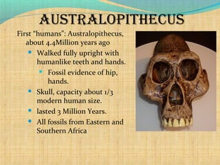 Human Evolution - The drastic change | PPT