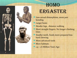 Human Evolution - The drastic change | PPT