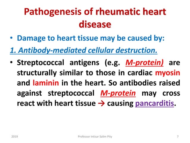 Rheumatic fever, RHD, and infective endocarditis | PPTX