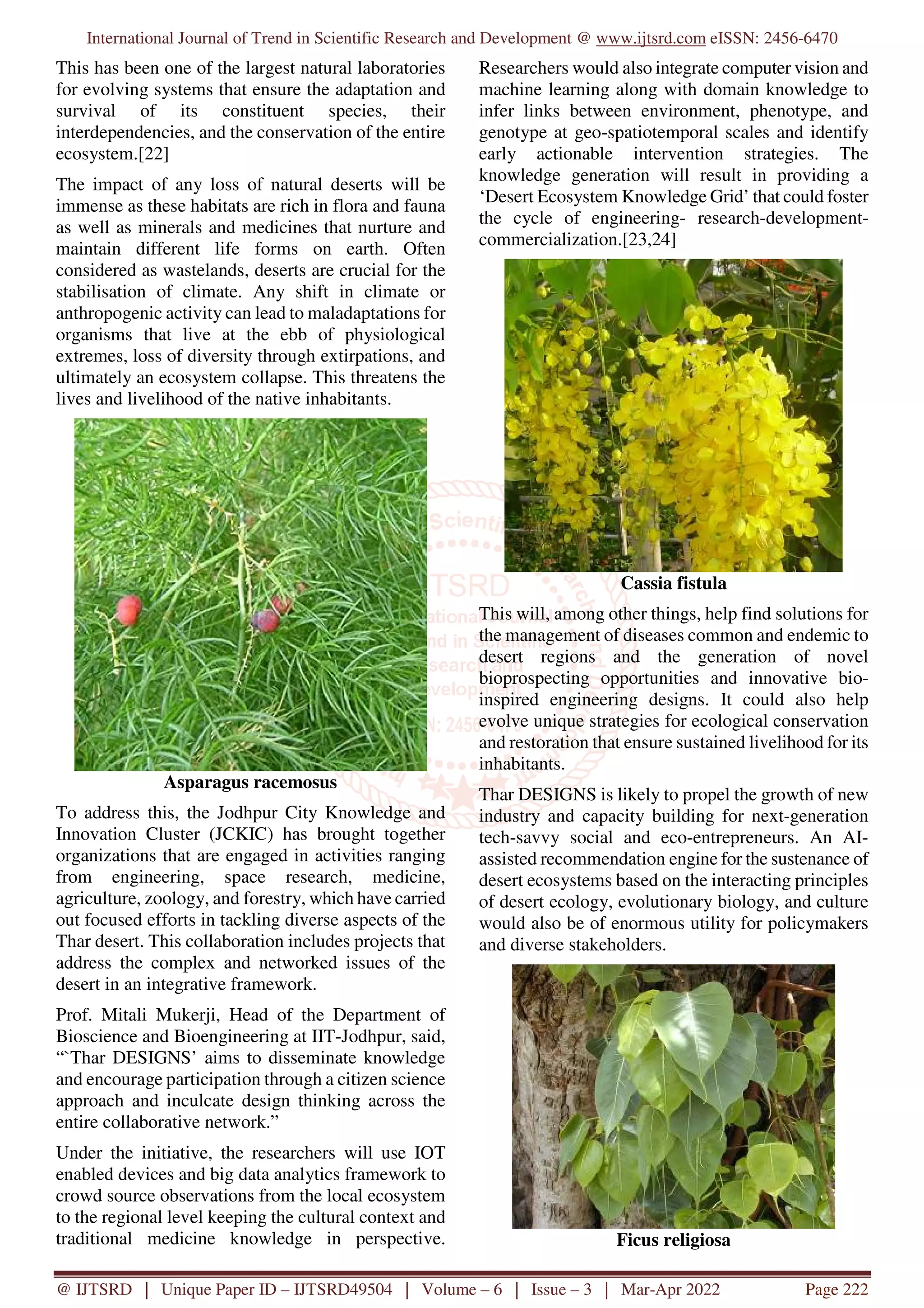 Significance of Floral Diversity of Ethnobotanical Importance in Indian Thar Desert | PDF