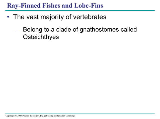 34_VERTEBRATE Zoology Lecture Note_ppt (1).pptx