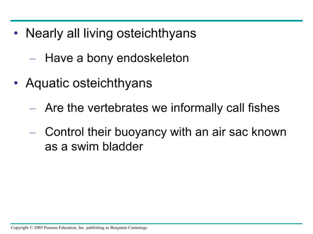 34_VERTEBRATE Zoology Lecture Note_ppt (1).pptx