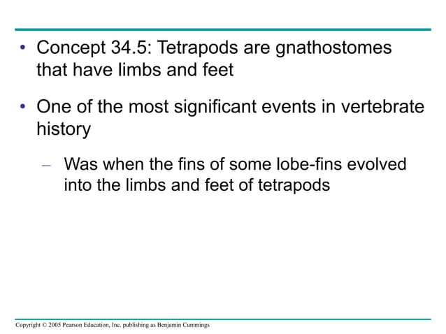 34_VERTEBRATE Zoology Lecture Note_ppt (1).pptx