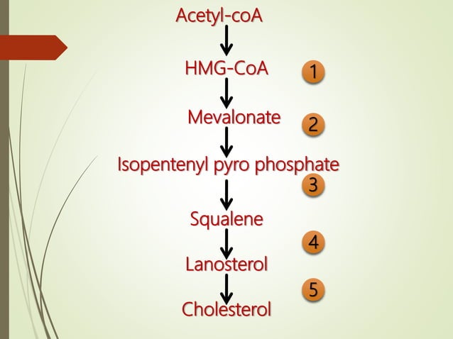 Metabolism of cholesterol - | PPSX