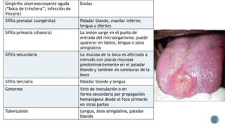 35. enfermedades cavidad bucal | PPTX