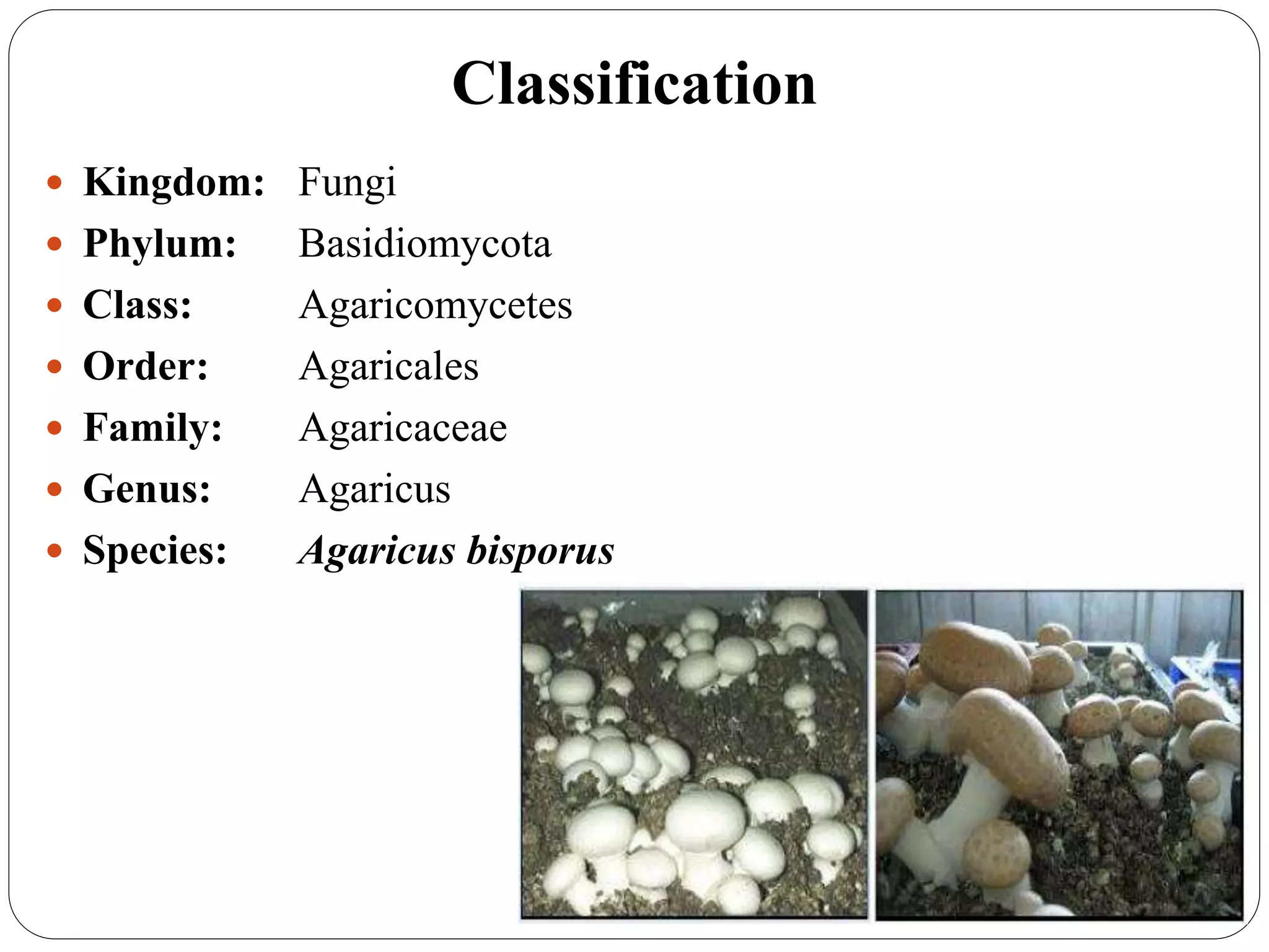 35. Mushroom edible and non edible , A Series of Presentation By Mr Allah Dad Khan Master ...