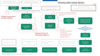 Pengelolaan dana REDD+: Indonesian Environment Fund | PDF