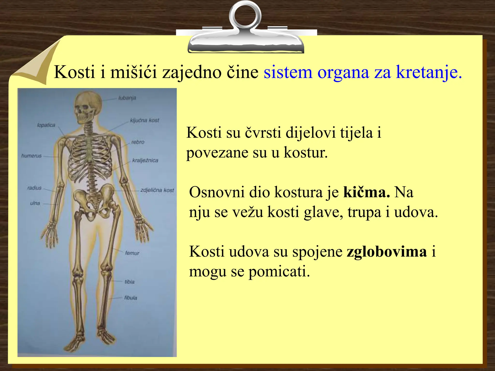 Gradja tijela i kretanje covjeka i okoline | PPT