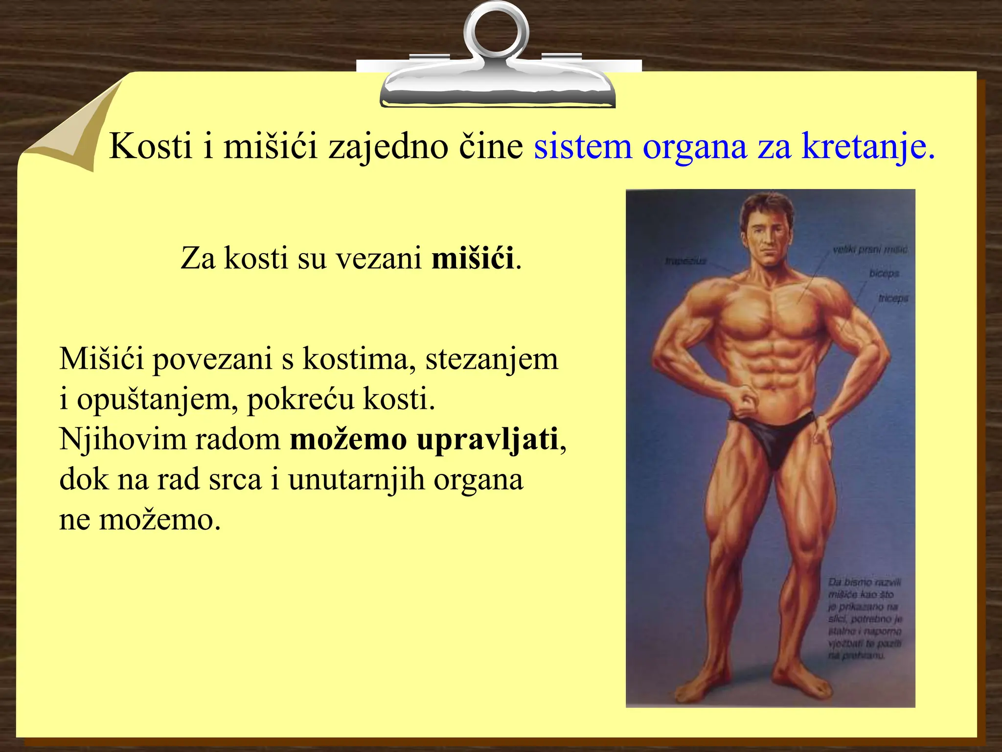 Gradja tijela i kretanje covjeka i okoline | PPT