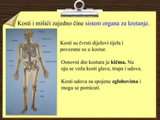 Gradja tijela i kretanje covjeka i okoline | PPT