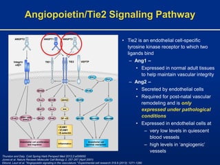 EMERGING APPROACHES TO COMBINATION THERAPIES IN AMD & DME - Regeneron ...