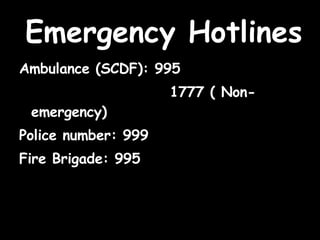 350787 Principles Of First Aid | PPT