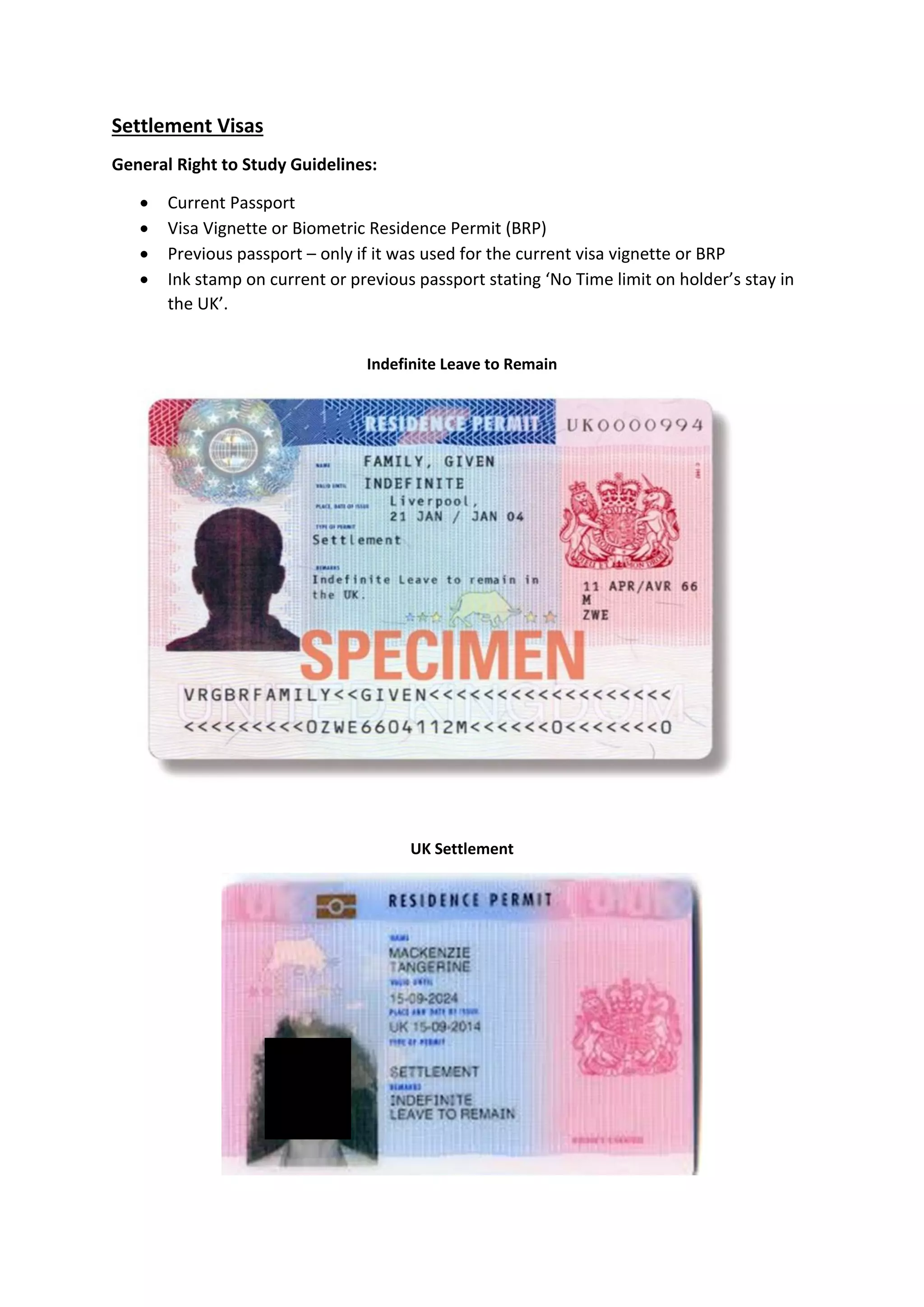 UK Visa Categories and types (2) | PDF