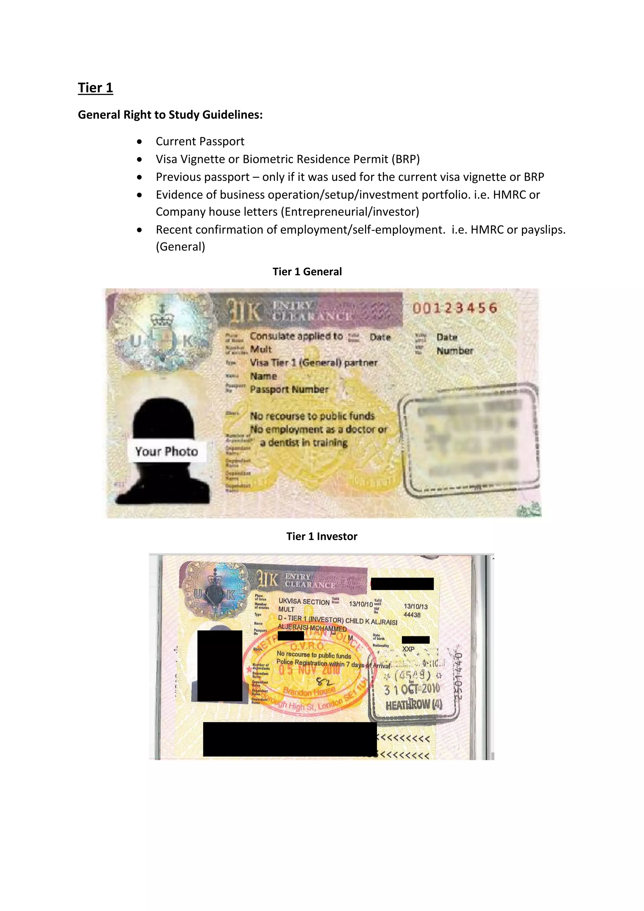 UK Visa Categories and types (2) | PDF